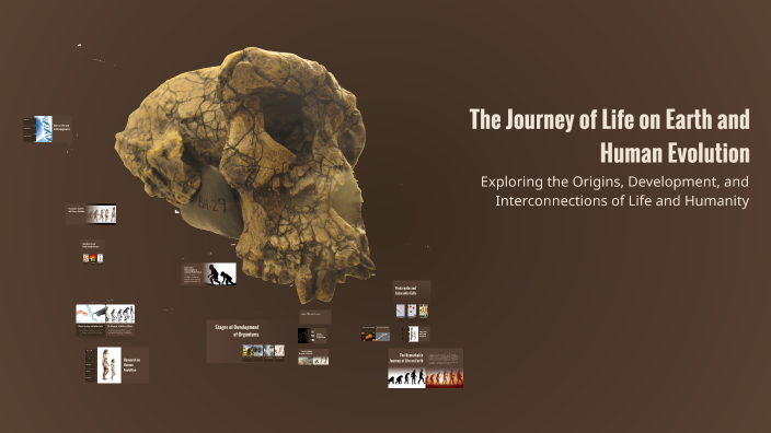 The Journey of Life on Earth and Human Evolution by Jakub Pawłowski on ...