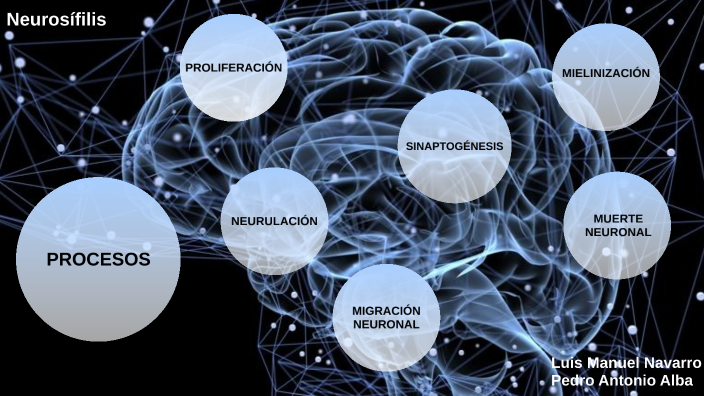 Desarrollo ontogenetico del ser humano by Santiago Panqueva on Prezi