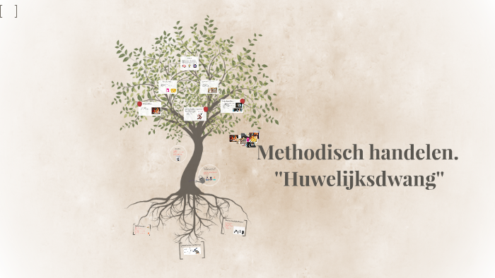 Methodisch handelen. by Chayenne van Diepen on Prezi