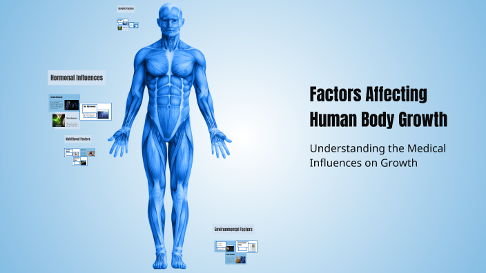 Factors Affecting Human Body Growth by Amr Reda on Prezi