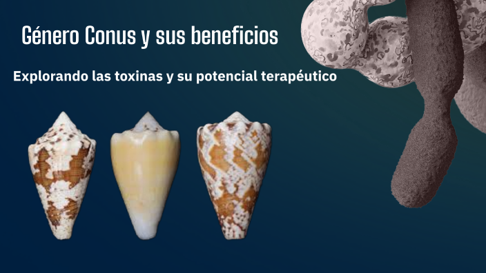 Género Conus y sus beneficios by pablo rodriguez on Prezi
