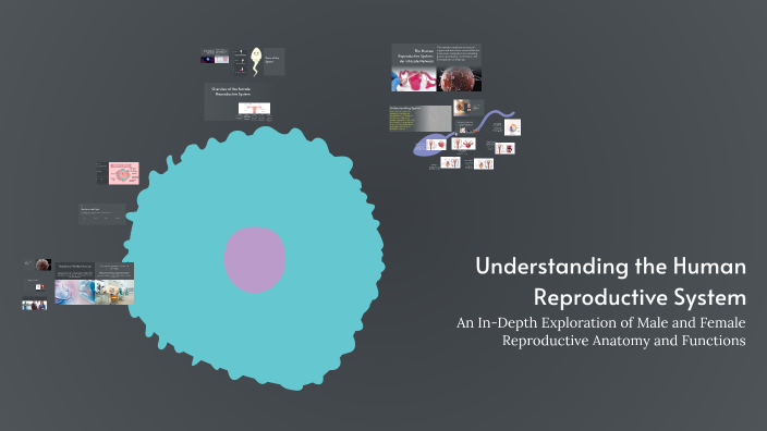 Understanding the Human Reproductive System by Khian Slime on Prezi