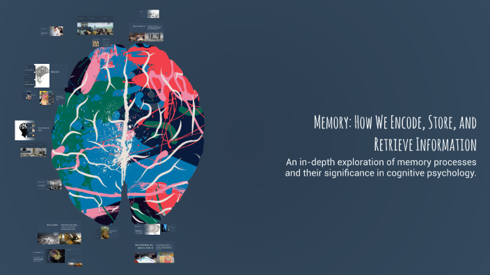 Memory: How We Encode, Store, and Retrieve Information by Areeba Khan ...