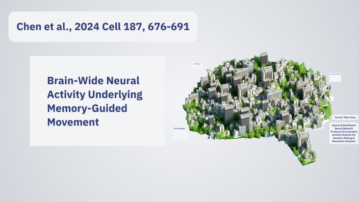 Brain-Wide Neural Activity Underlying Memory-Guided Movement by Sarah Nancy Savell on Prezi