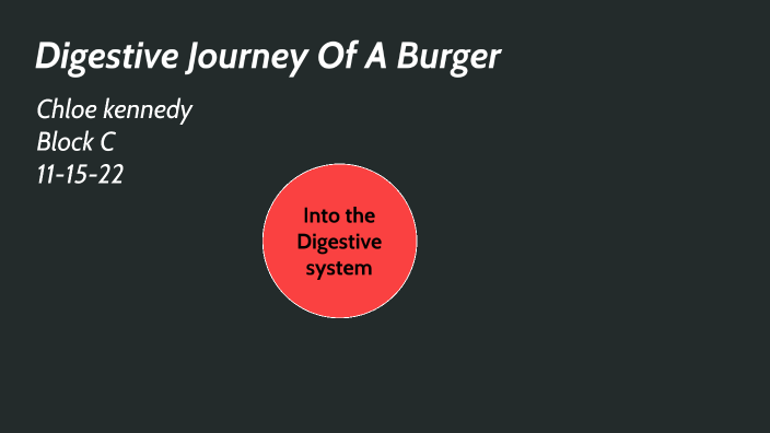Digestive Journey Of A Burger by Chloe Kennedy on Prezi