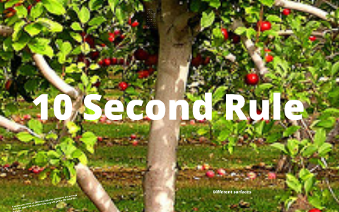 10 Second Rule!!!!! by Jacob Smith on Prezi