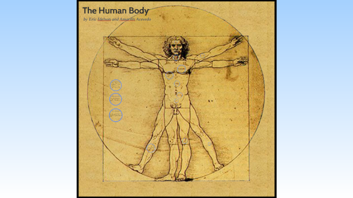 The Human Body by Eric Idelson on Prezi