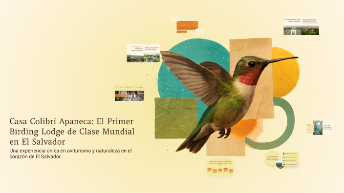 Casa Colibrí Apaneca: El Primer Birding Lodge de Clase Mundial en El ...