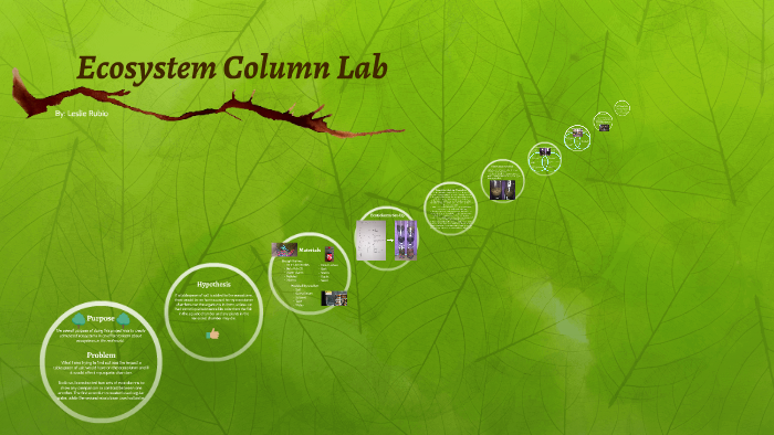 Ecosystem Column Lab by leslie rubio on Prezi