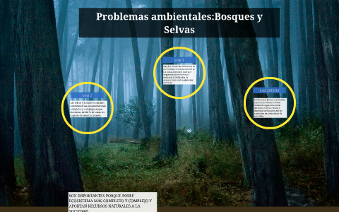 Problemas ambientales:Bosques y Selvas by Eneida Soto Claps
