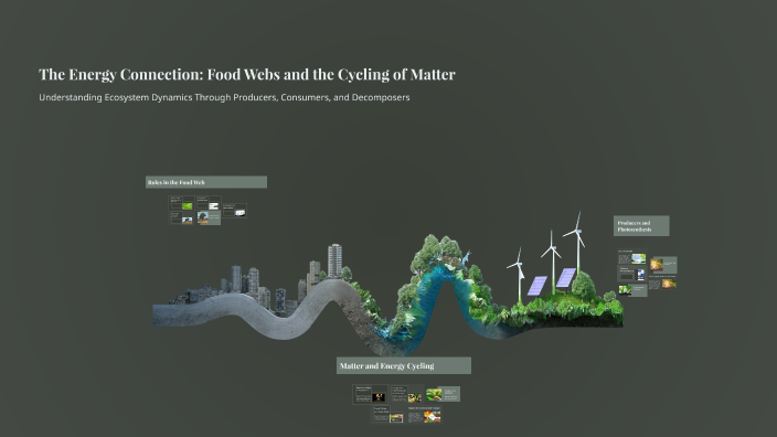 The Energy Connection: Food Webs and the Cycling of Matter by Sydney ...