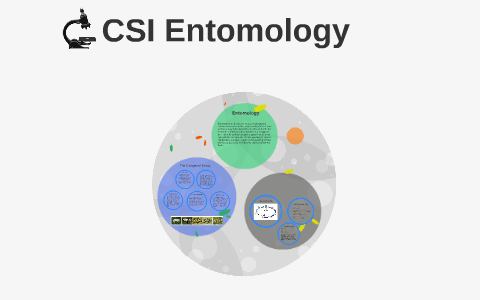 CSI Entomology by riley kohler on Prezi