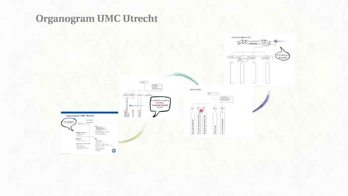 Organogram UMC Utrecht by Noa Vogels on Prezi