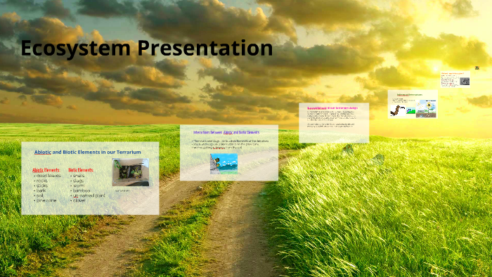 Ecosystem Presentation by Gillian on Prezi