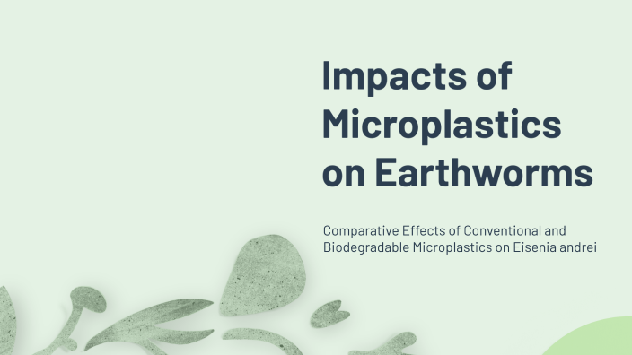 Impacts of Microplastics on Earthworms by Venla Forsell on Prezi
