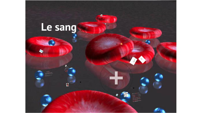 Le sang by Nico 6ème on Prezi
