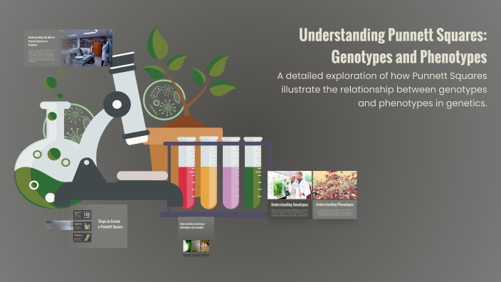 Understanding Punnett Squares: Genotypes and Phenotypes by ...