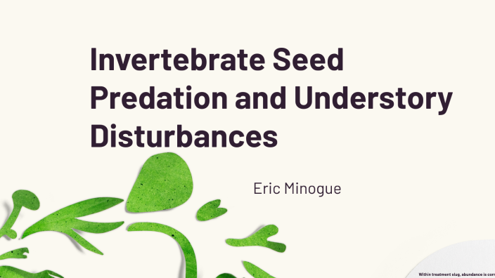 Invertebrate seed predation by Eric Minogue on Prezi