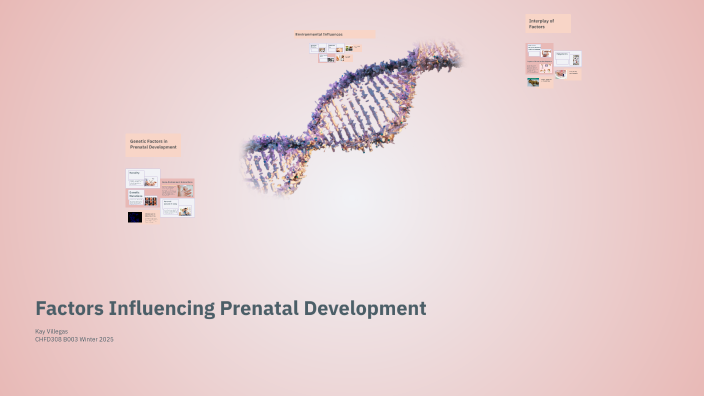 Factors Influencing Prenatal Development by Kay Villegas on Prezi