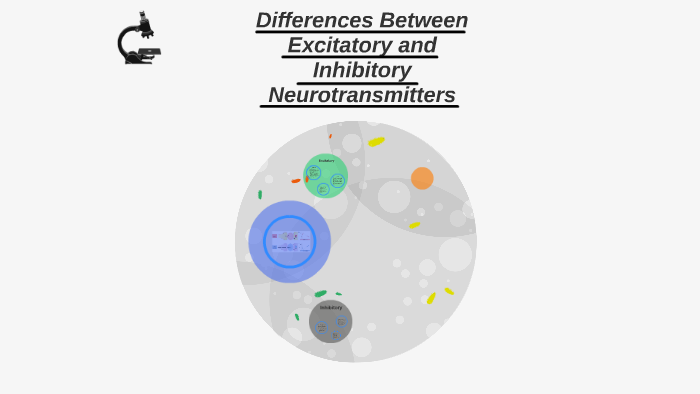 Differences Between Excitatory and Inhibitory Neurotransmitt by Pedro Marqueti on Prezi