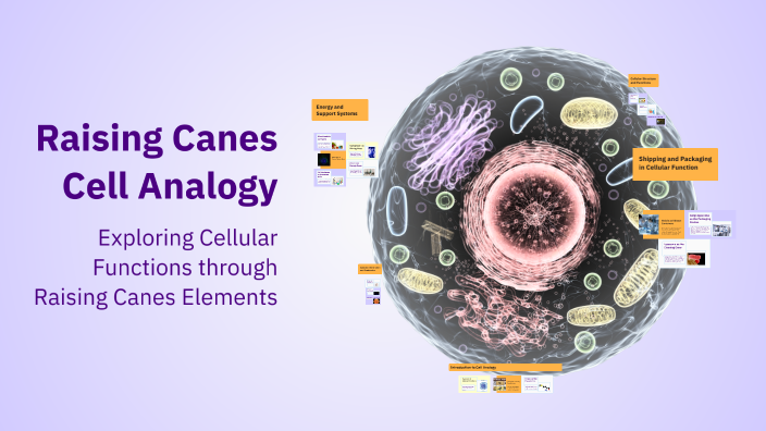Raising Canes Cell Analogy by Sundus Jama on Prezi