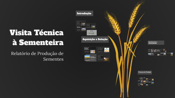 Visita Técnica à Sementeira by Gustavo Petersen on Prezi