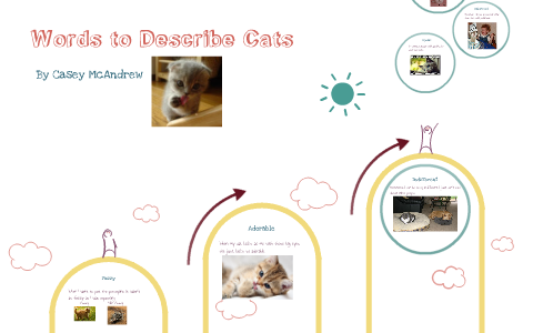 Words to Describe Cats by Casey Mc on Prezi