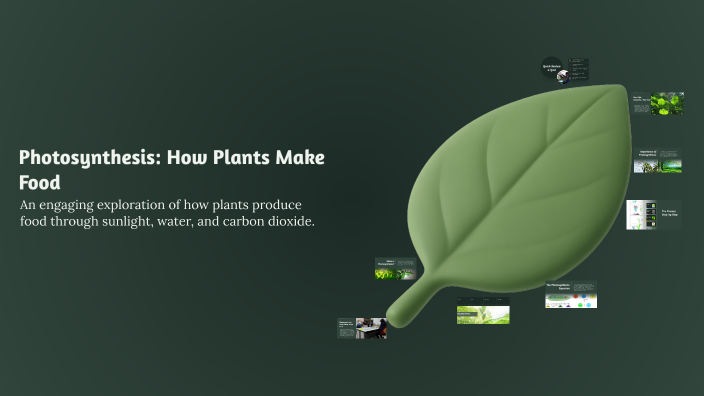 Photosynthesis: How Plants Make Food by So Ah on Prezi
