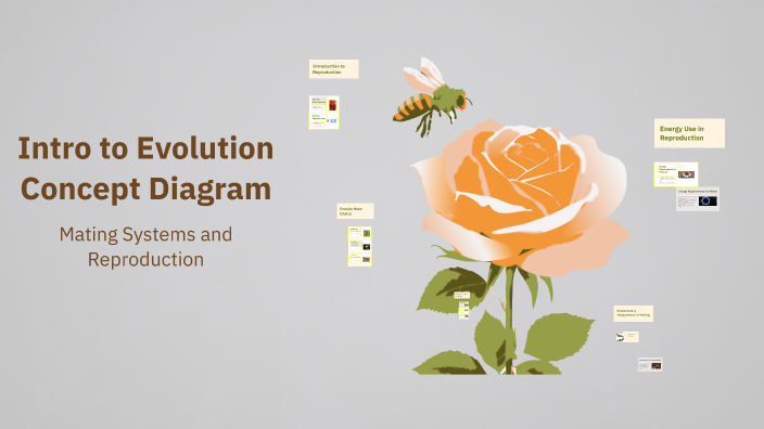 Intro to Evolution Concept Diagram by I Z on Prezi