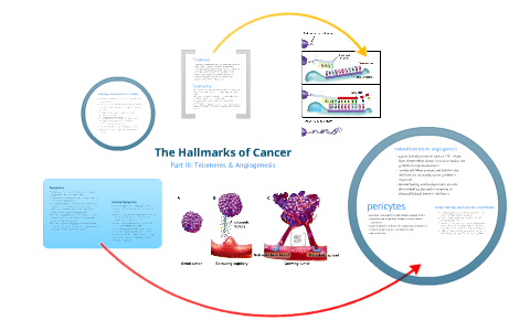 Hallmarks of Cancer Overview Part III by ben silva on Prezi