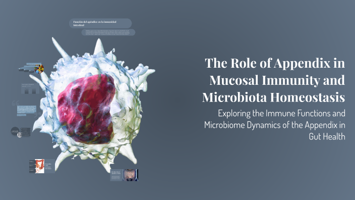 The Role of Appendix in Mucosal Immunity and Microbiota Homeostasis by ...