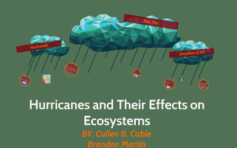 Hurricanes and Their Effects on Ecosystems by Bohagon [Insert Name Here ...