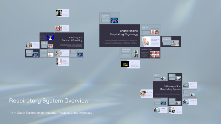 Respiratory System Overview by adi , on Prezi