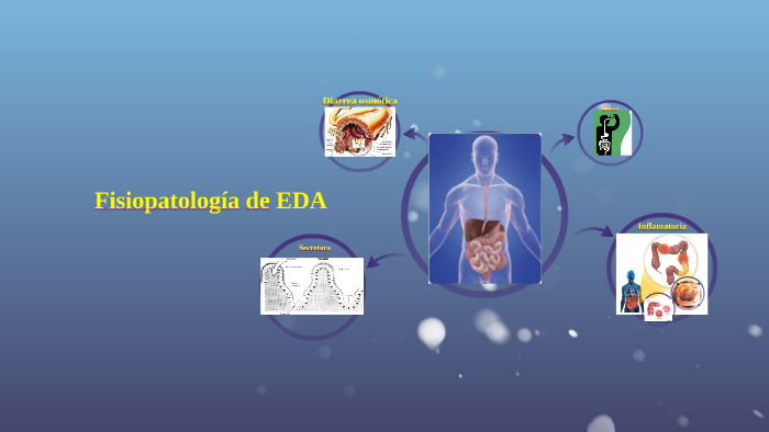 Fisiopatologia de EDA by Pedro Javier Chong Cevallos on Prezi