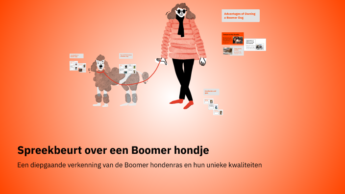 Spreekbeurt over een Boomer hondje by riff van driel on Prezi
