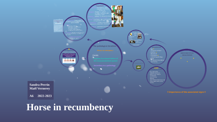 The horse in recumbency by Sandra Perrin on Prezi