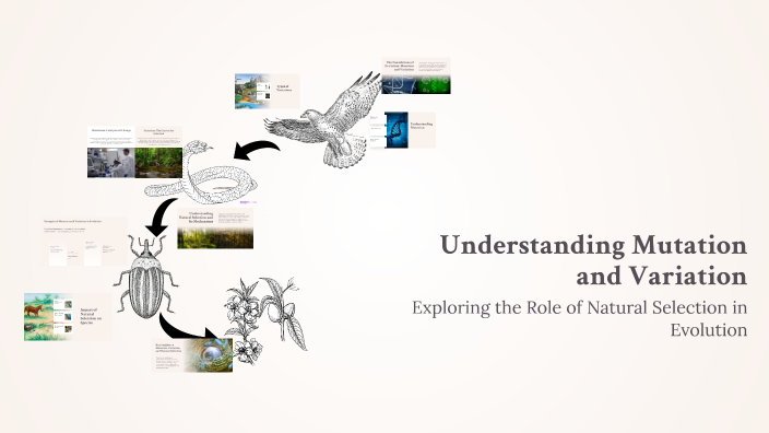 Understanding Mutation and Variation by ahmed hussien on Prezi