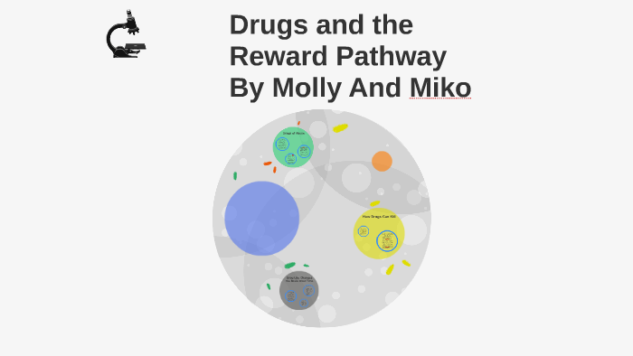 Drugs and the Reward Pathway by Molly Carrillo on Prezi