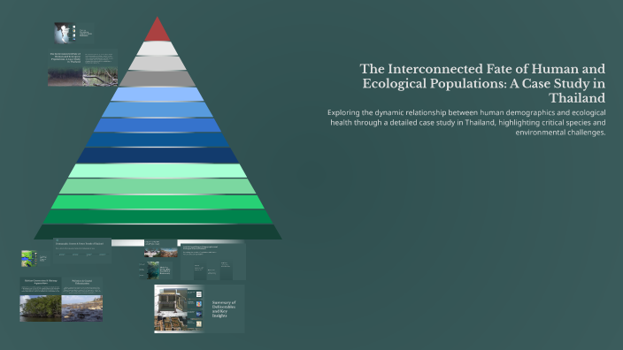Population Project by Alejandro serrano on Prezi