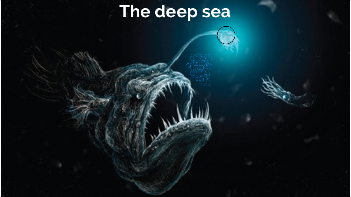 The deep sea biome by Oskar Meeten on Prezi