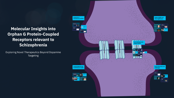 Molecular Insights into Orphan G Protein-Coupled Receptors relevant to ...