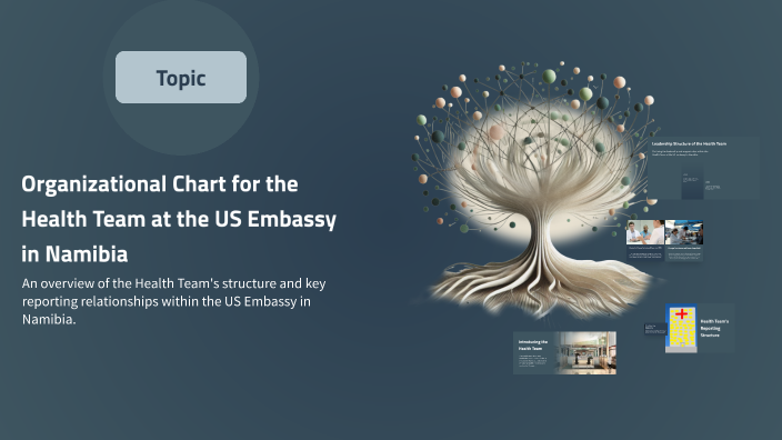 Organizational Chart for the Health Team at the US Embassy in Namibia ...