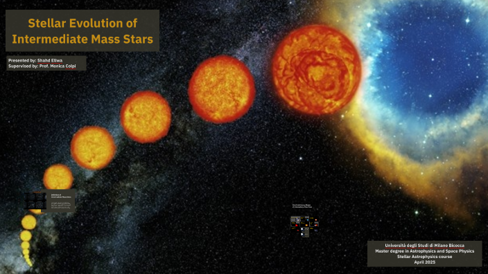 Stellar Evolution of Intermediate Mass Stars by shahed nasr on Prezi