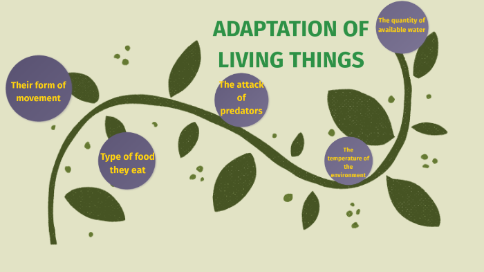 ADAPTATION OF LIVING THINGS by Belen Yela on Prezi