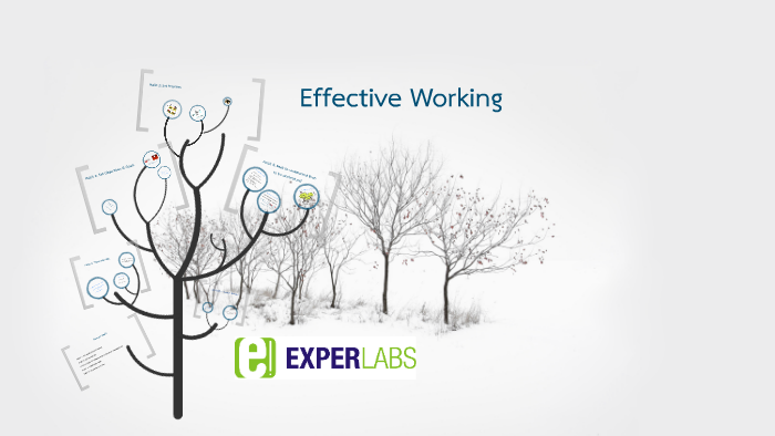 Effective working by on Prezi