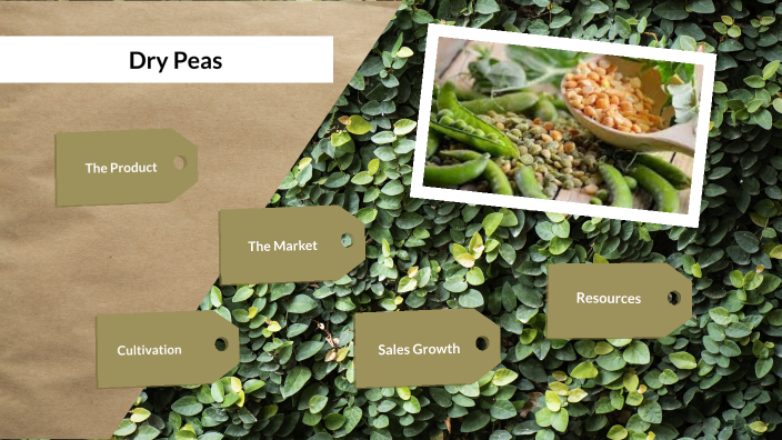 Made in Alberta Project by Ayesha on Prezi