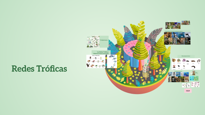 Redes Tróficas y Flujo de Energía en los Ecosistemas by JULIETH CABRERA ...