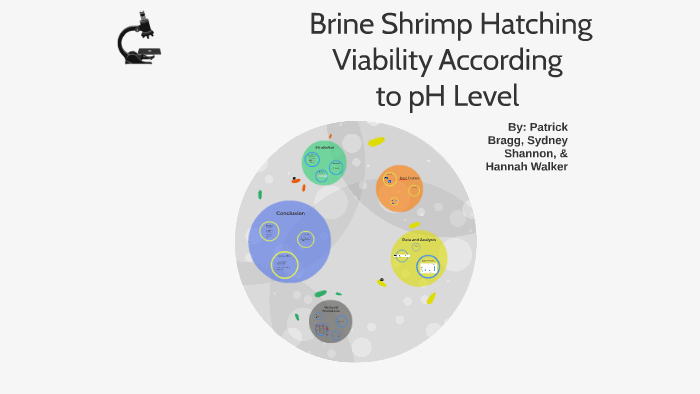 Brine Shrimp Hatching Viability According to pH level by hlkhff wa;lkert