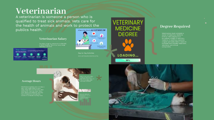 Veterinarian Career by Allayza Evans on Prezi