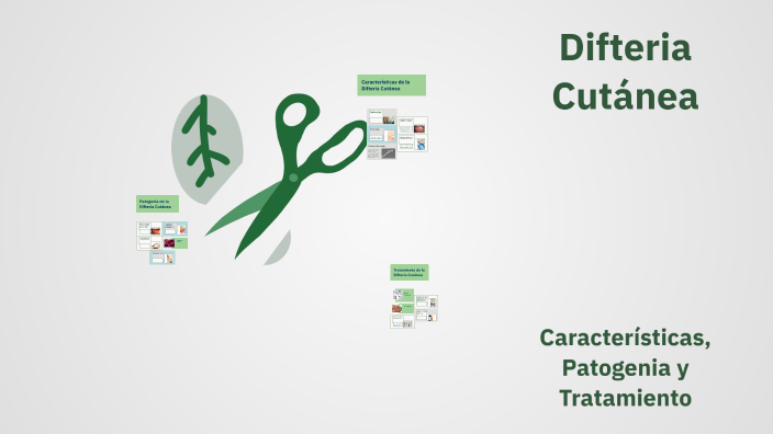 Difteria Cutánea by Cristina Criollo on Prezi